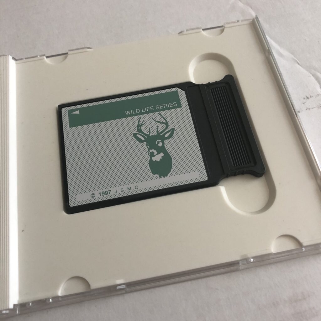 Janome Memory Craft Memory Card #30 | Stacey Sansom Designs